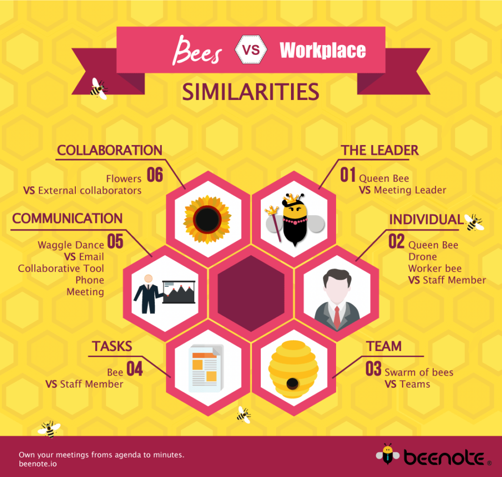 6 similarities you don't know about bees and the workplace